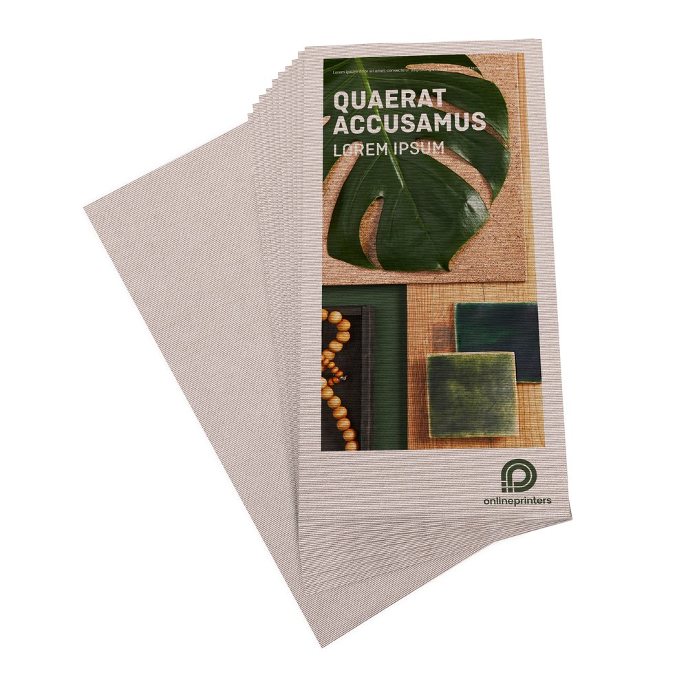 Flyers, DL, impression recto seul, DL chez Onlineprinters