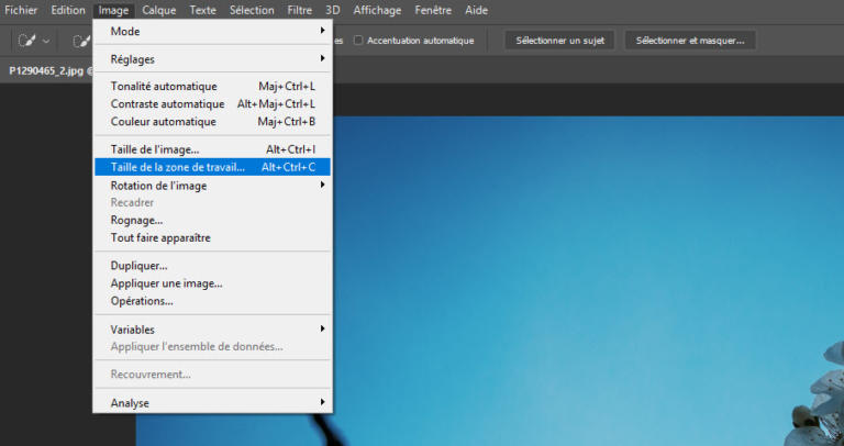 Redimensionner une image sur Photoshop : mettre à l’échelle sensible au ...
