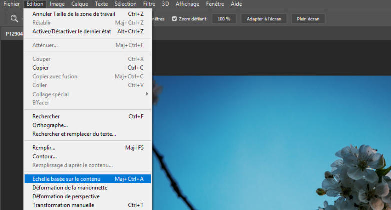 Redimensionner une image sur Photoshop : mettre à l’échelle sensible au ...